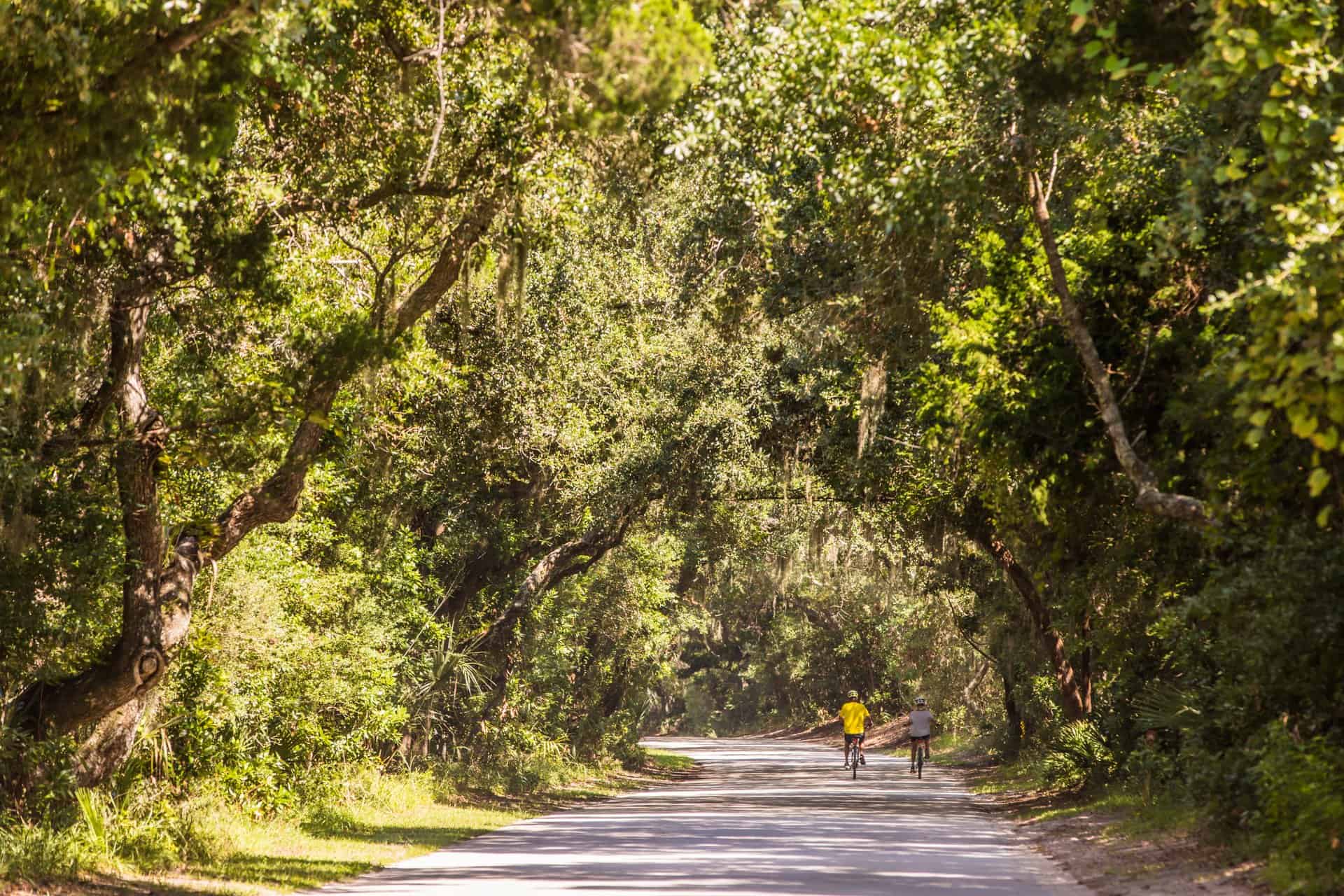 Things To Do on Amelia Island, Florida (Local's Guide 2026)